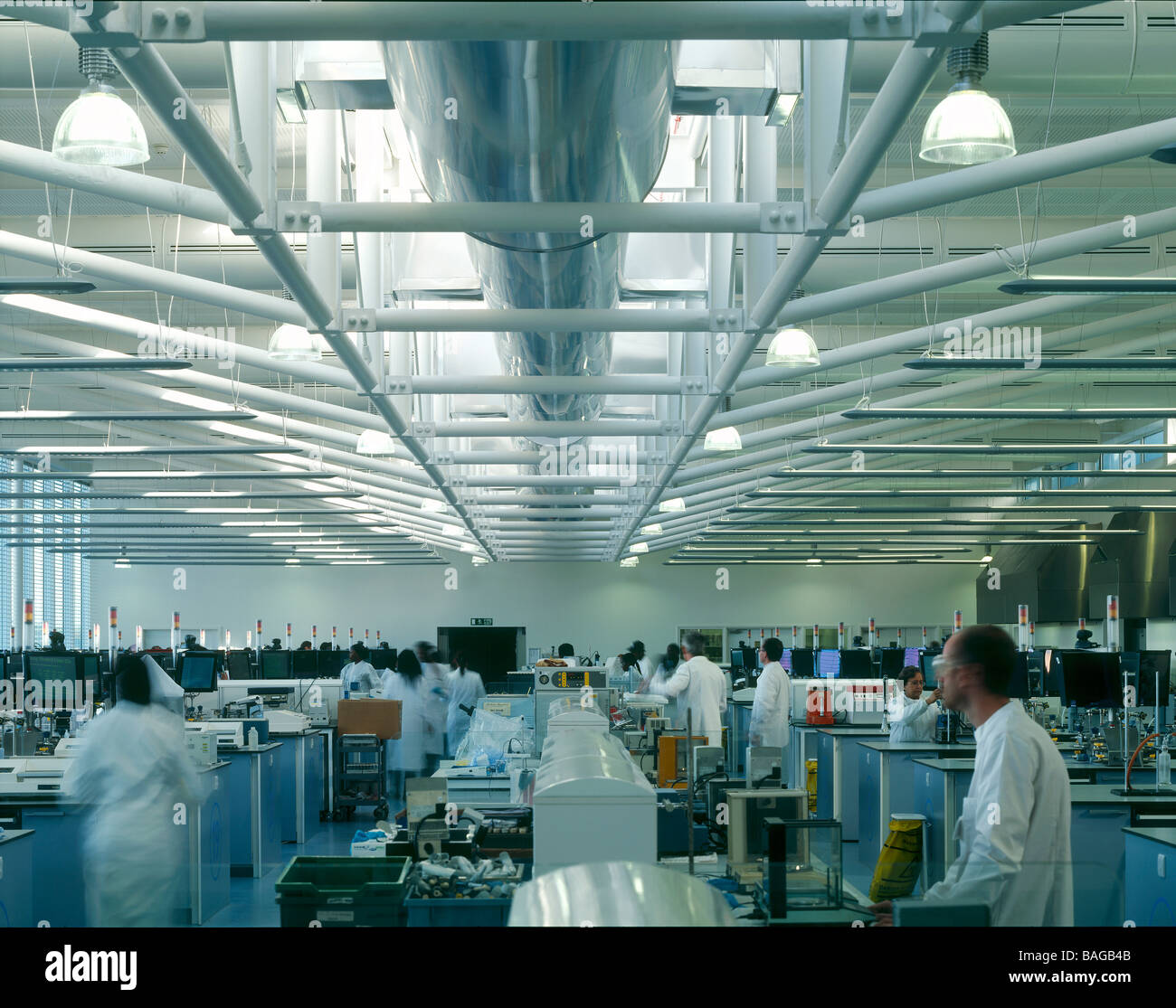 Super Lab High Resolution Stock Photography and Images - Alamy