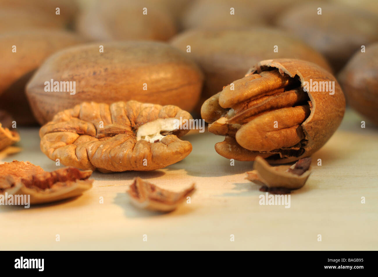 Pecan (Carya illinoiensis), whole and opened nuts, studio picture Stock ...