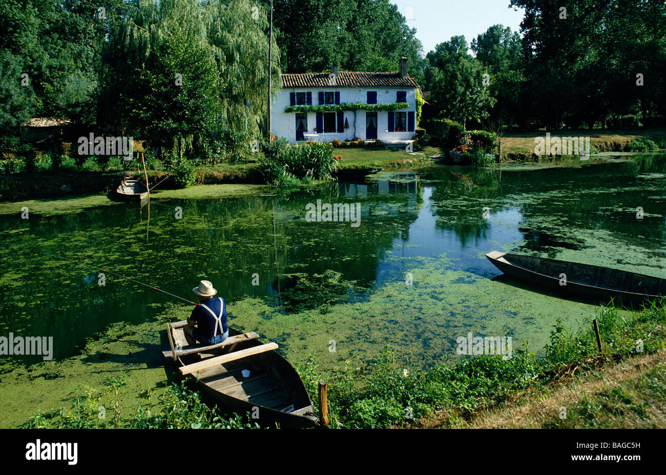France, Deux Sevres, Region of the Marais Poitevin aka La Venise Verte ...