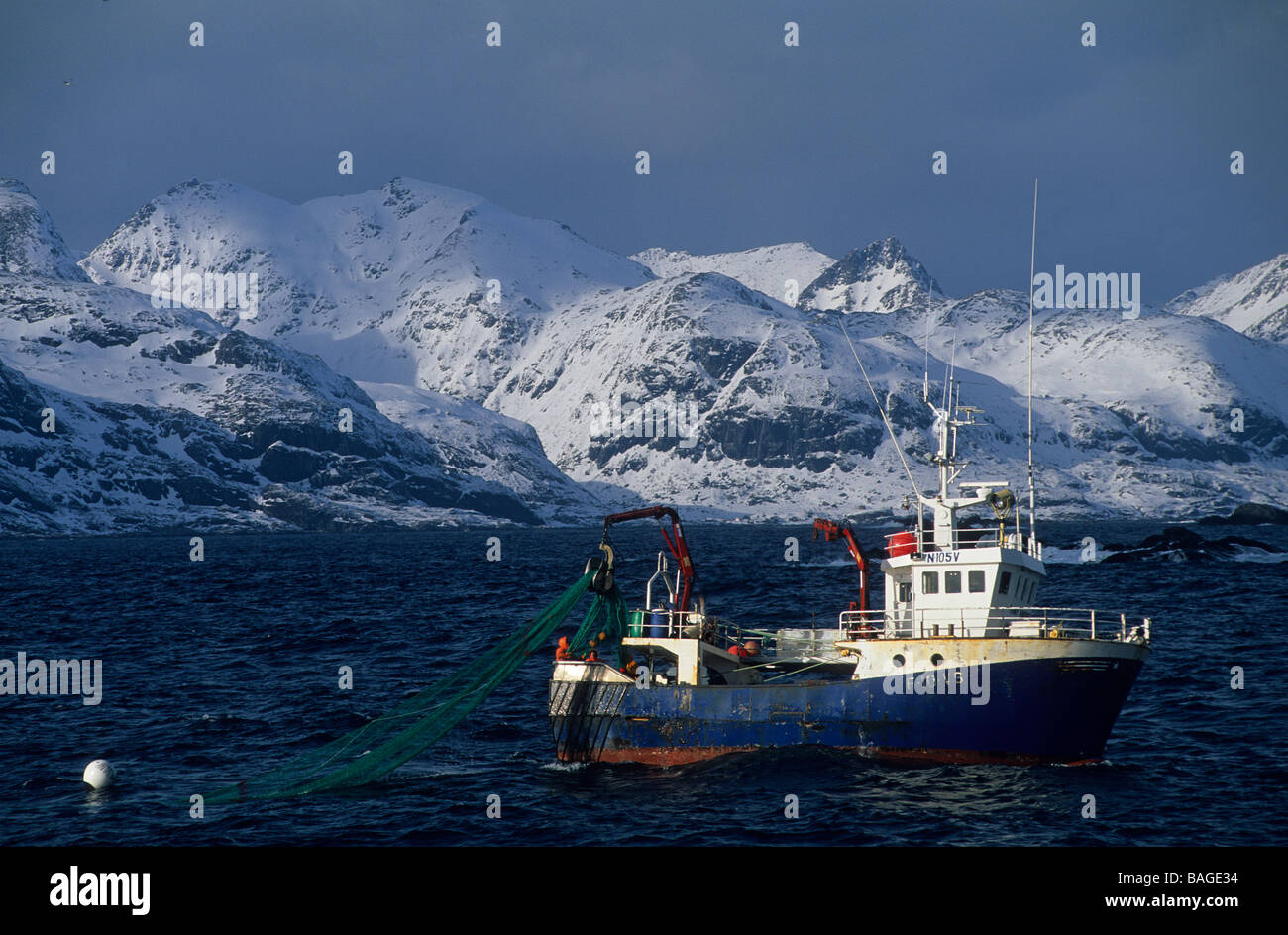 Norway, Nordland County, Lofoten Islands, fishing skrei (cod-fish Stock ...