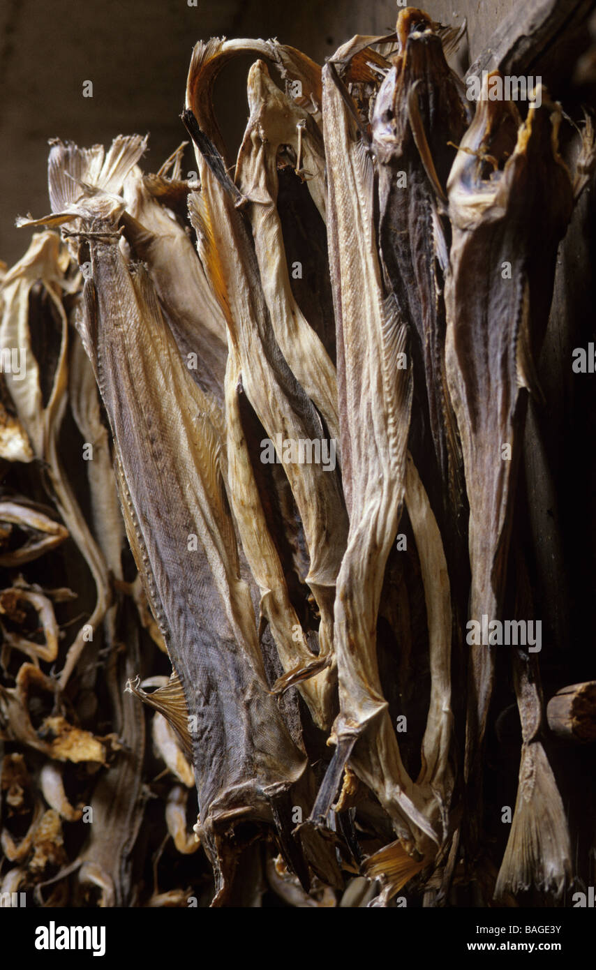 Salted and dried cod fish hi-res stock photography and images - Alamy