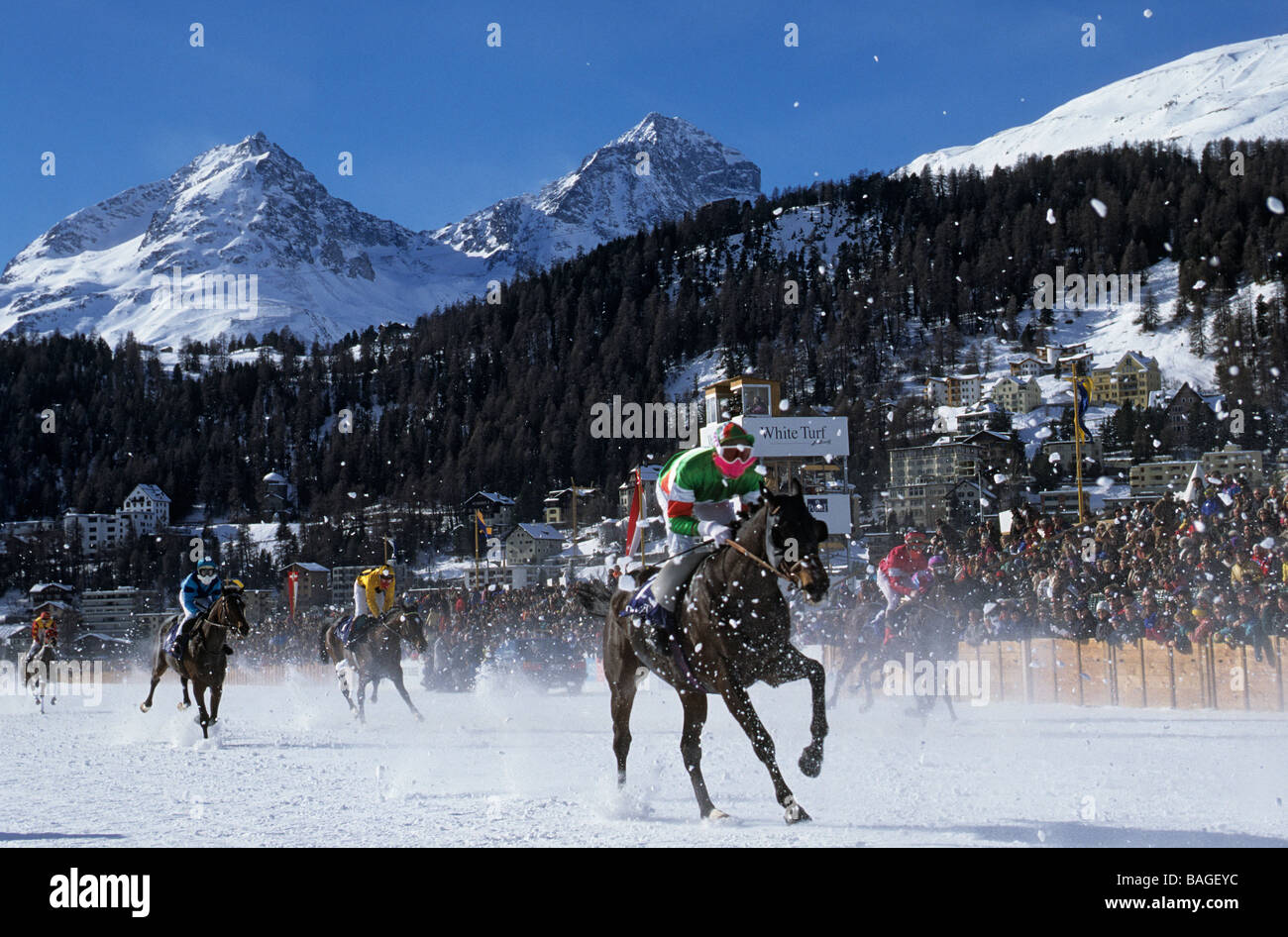 Switzerland, Grisons region, Graubuenden canton, St Moritz, horse ...