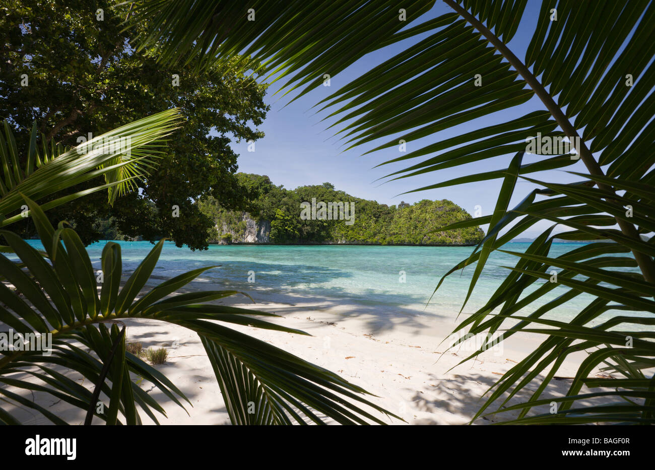 Palm lined sandy beach hi-res stock photography and images - Alamy