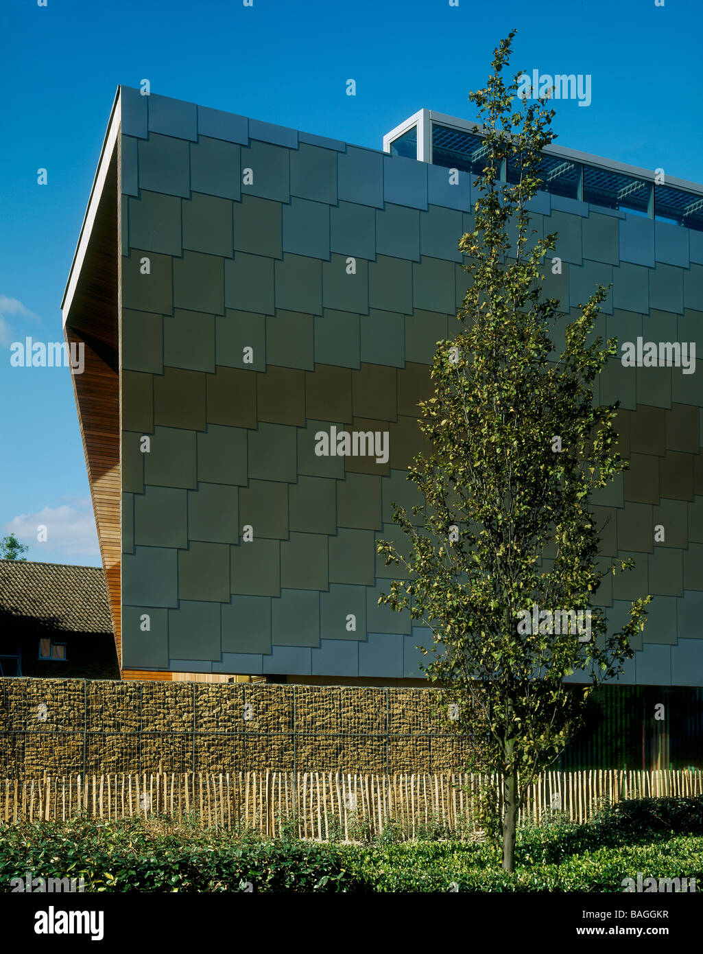 The lightbox woking hi-res stock photography and images - Alamy