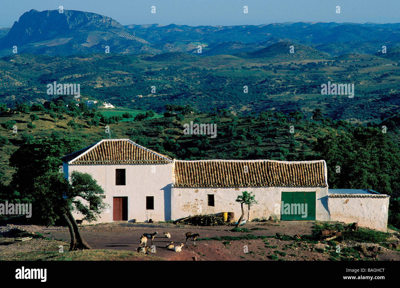 Spain, Andalusia, traditional house Stock Photo - Alamy