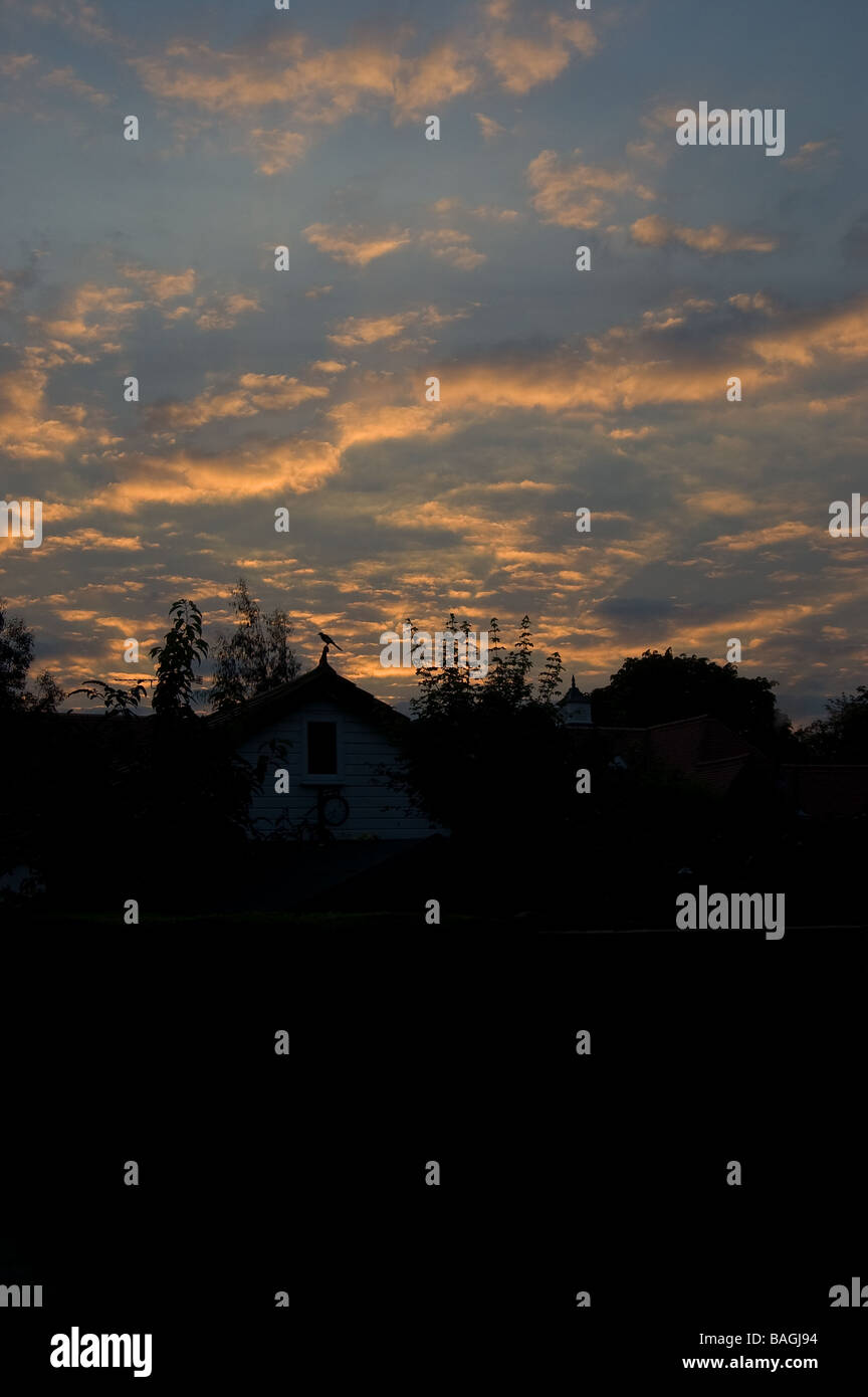 sunrise dawn clouds lone solo one bird contrast colour color portrait ...