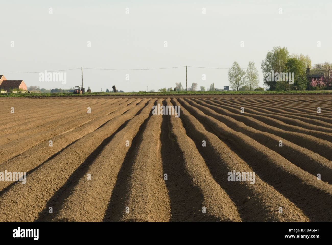 Farming in the fens hi-res stock photography and images - Alamy