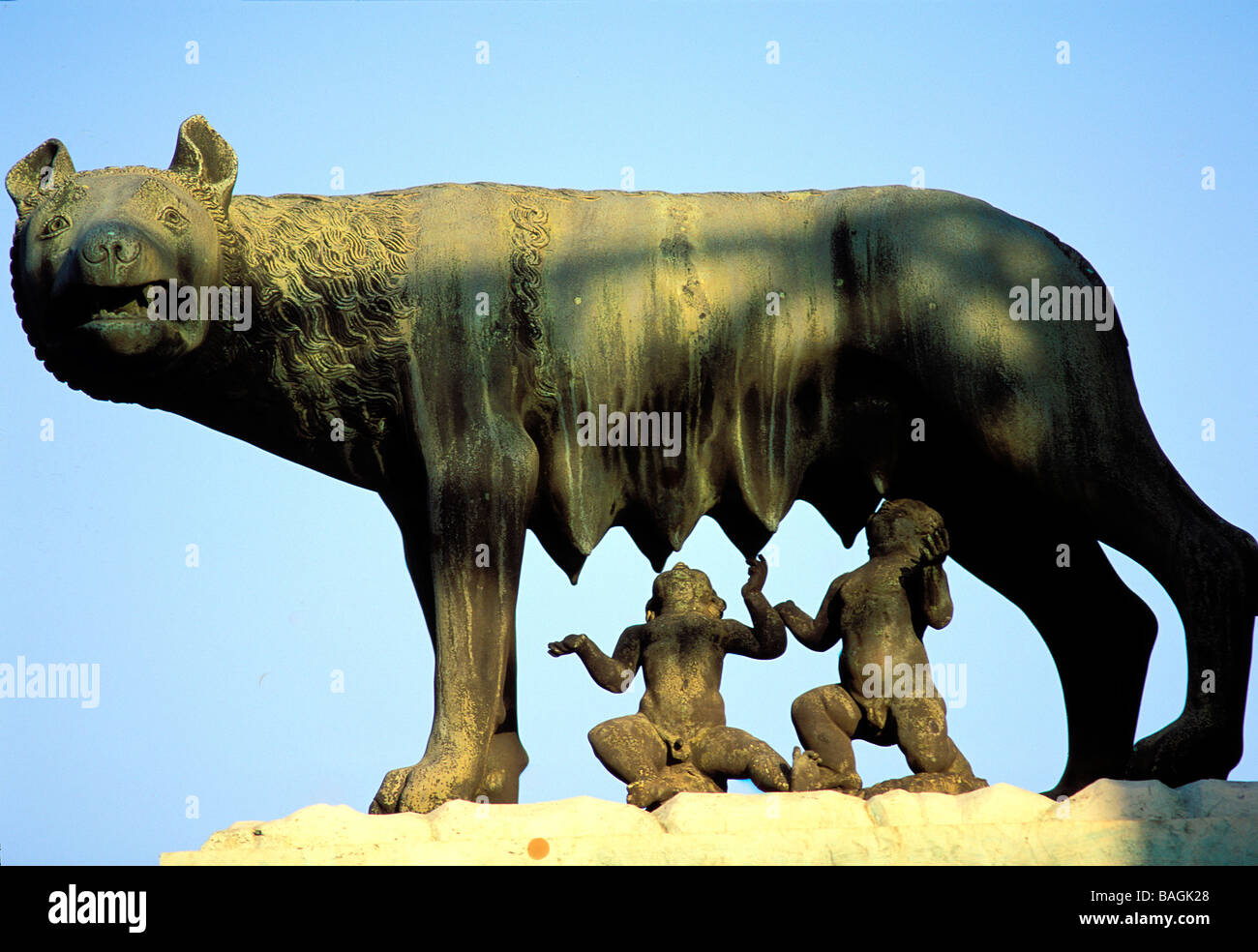 La louve hi-res stock photography and images - Alamy