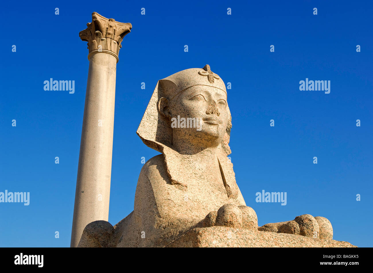 Egypt, Lower Egypt, the Mediterranean Coast, Alexandria, Pompey's ...