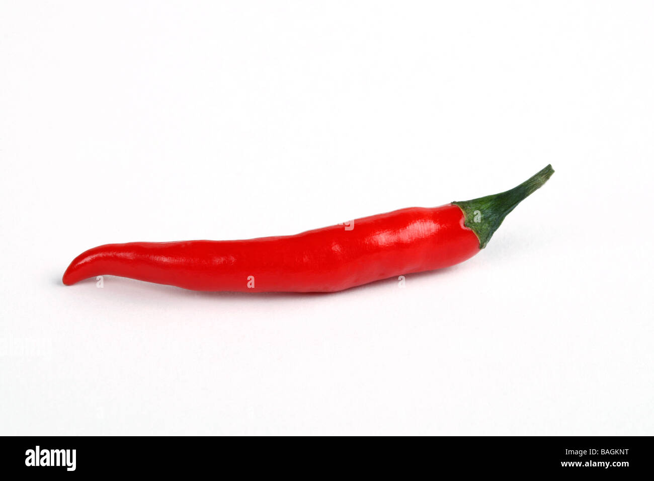 Single chili Cut Out Stock Images & Pictures - Alamy