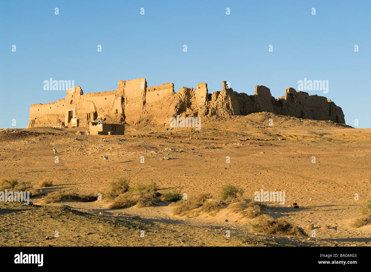 Egypt, Upper Egypt, Libyan Desert, Kharga Oasis, Qasr el Ghueita ...