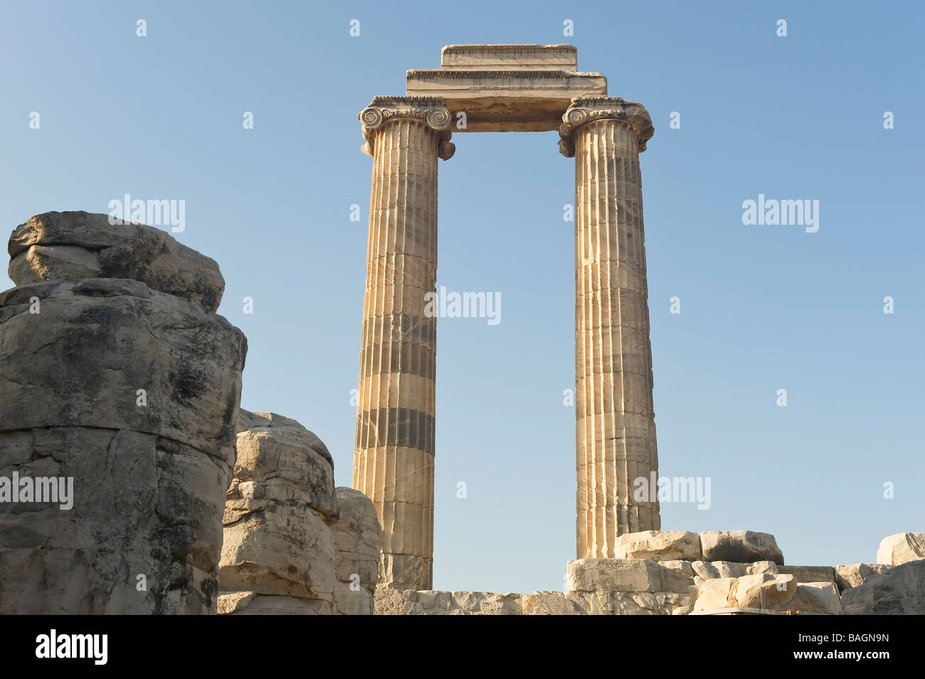 Ionian columns Apollo temple Didyma Turkey Stock Photo - Alamy