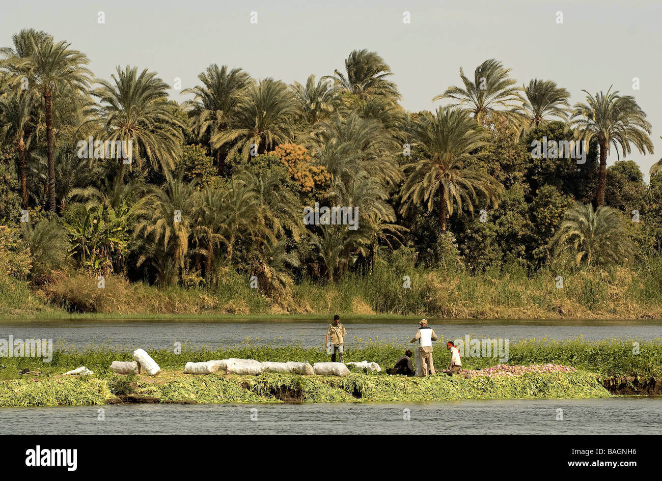Egypt, Upper Egypt, Nile Valley between Luxor and Aswan Stock Photo - Alamy