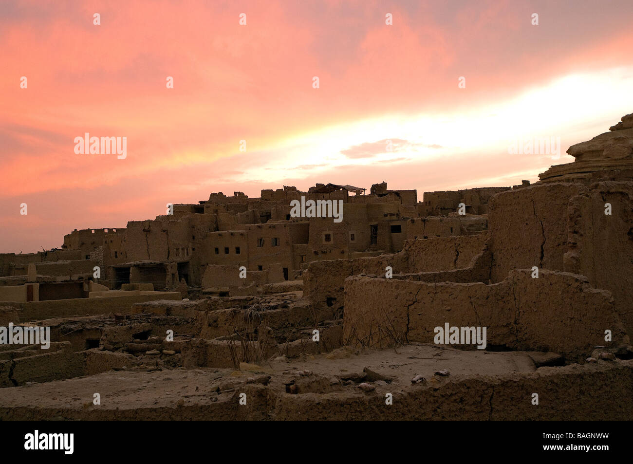 Shalli High Resolution Stock Photography and Images - Alamy