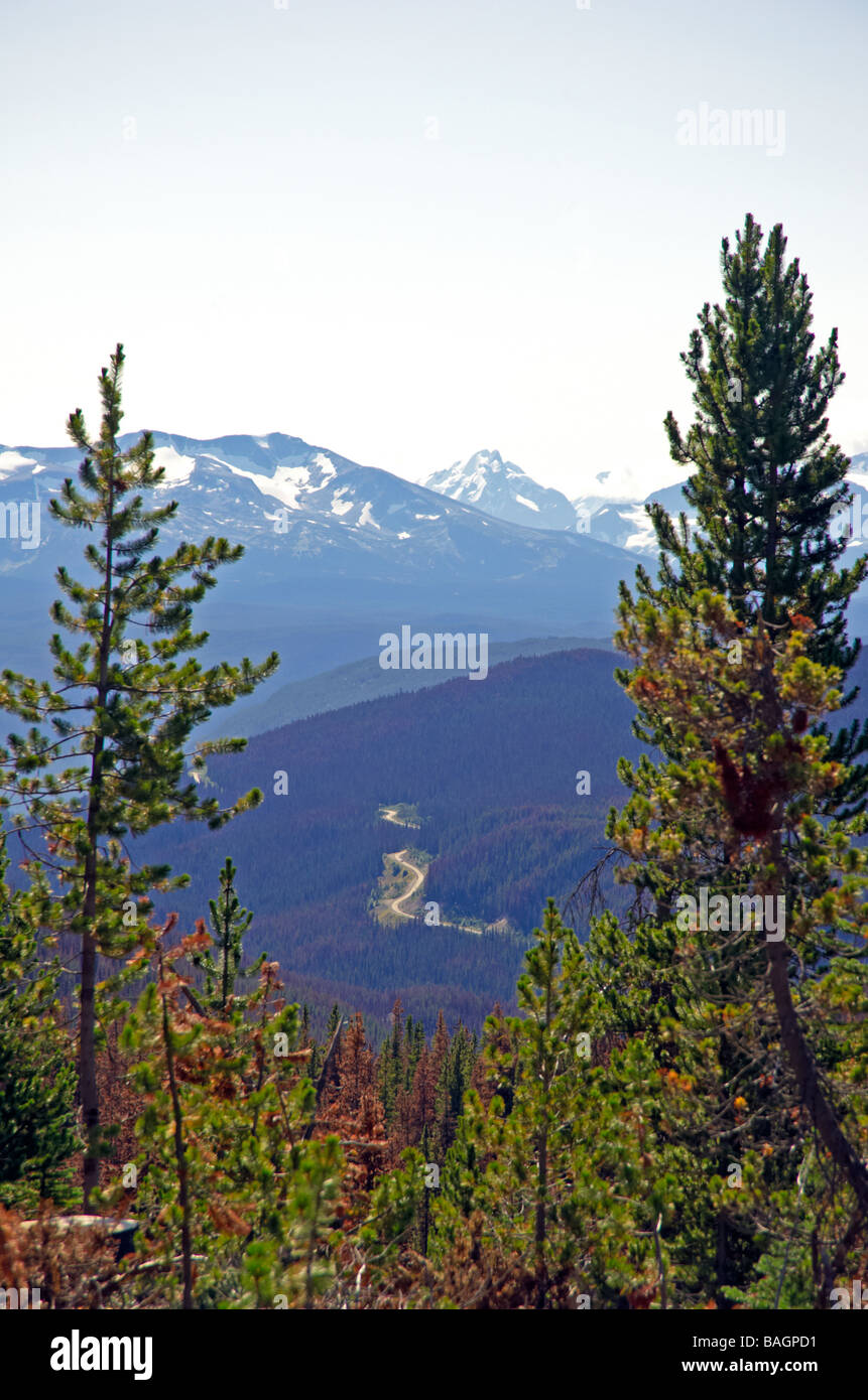 Canada, British Columbia, Bella Coola Valley, The Hill Stock Photo - Alamy
