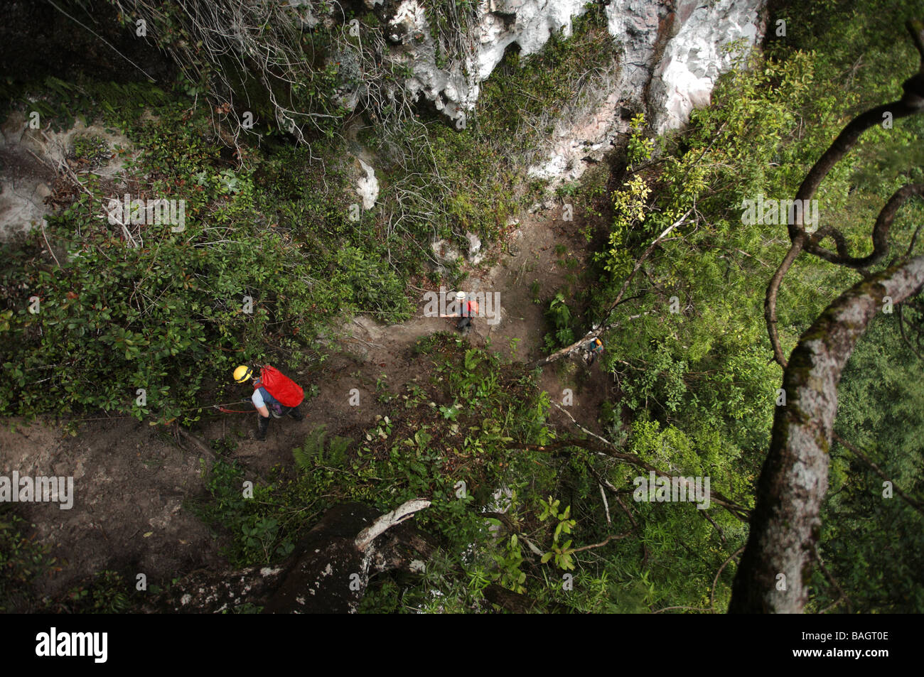Looking down from high up in a tree at a group of cave explorers ...