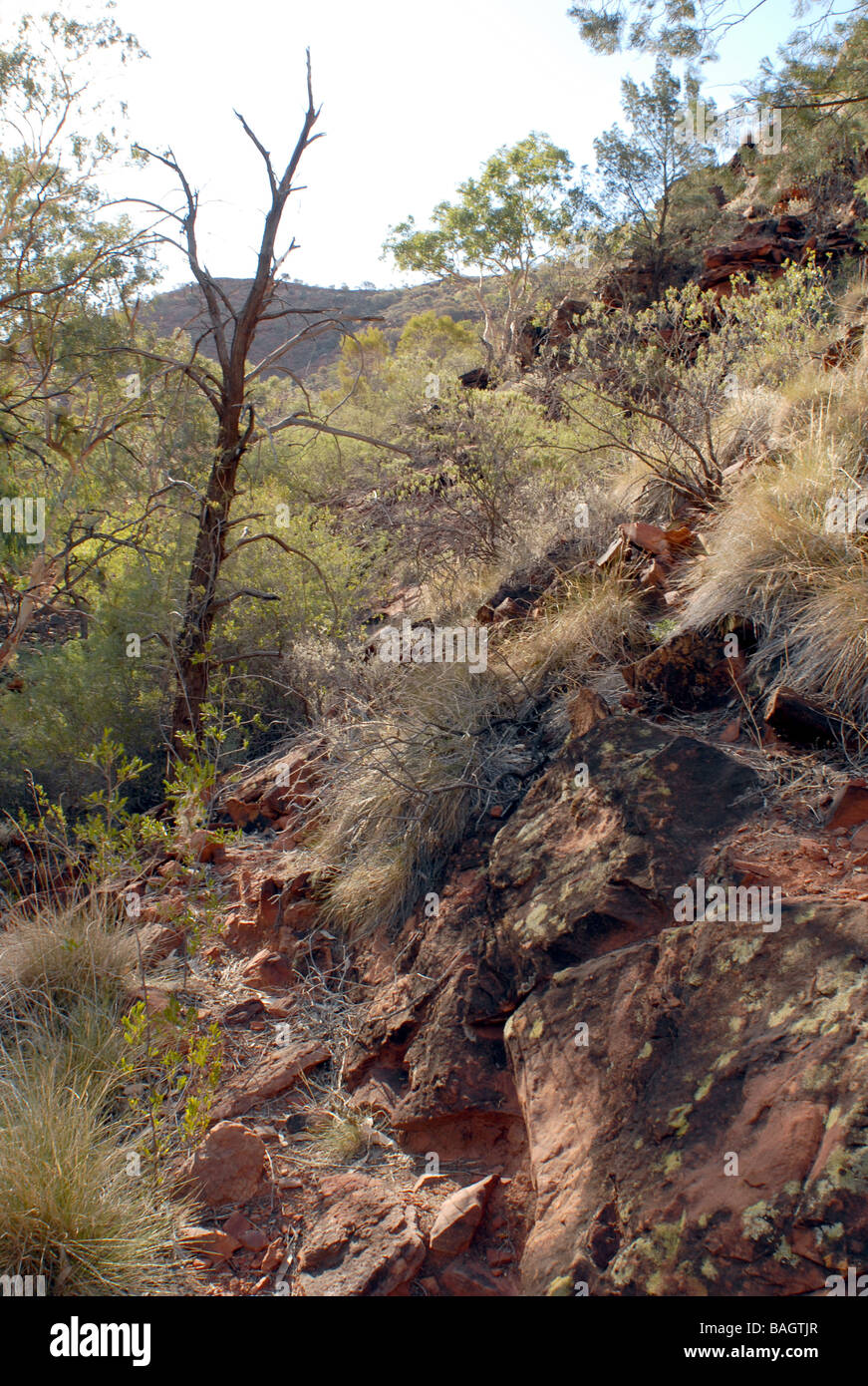 Outback Northern Territory Australia Stock Photo - Alamy
