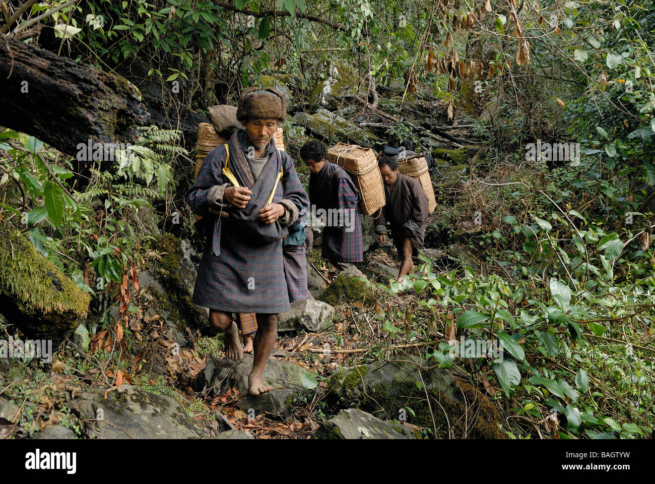 Bhutan, Trongsa District, Jigme Singye Wangchuck National Park, living ...