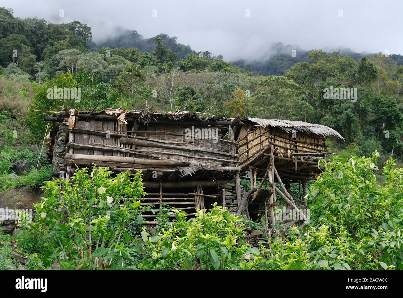 Bhutan, Trongsa District, Jigme Singye Wangchuck National Park, living ...