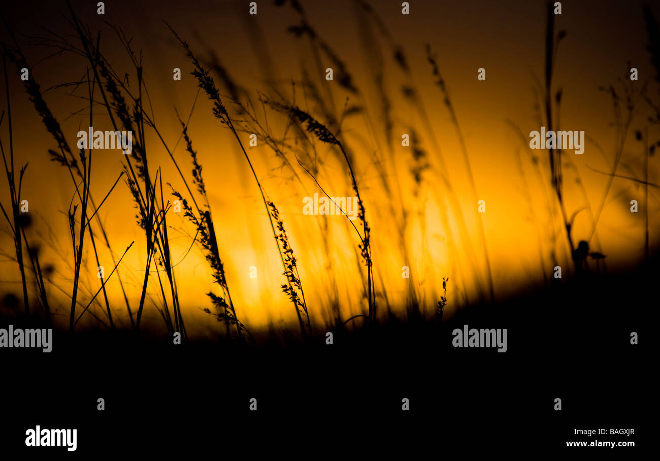 Kansas prairie hi-res stock photography and images - Alamy