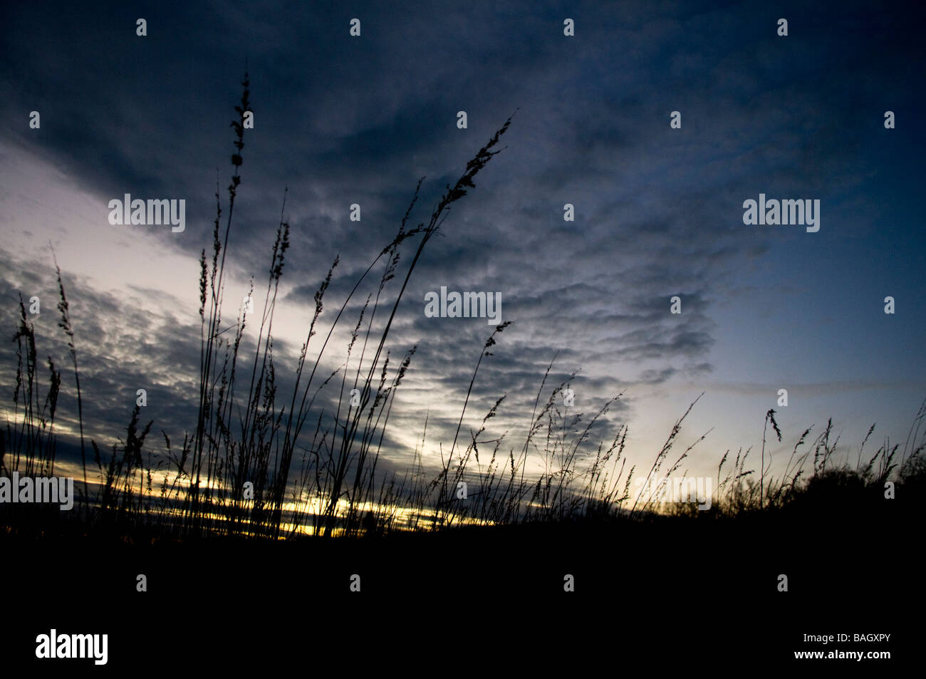 Kansas prairie hi-res stock photography and images - Alamy