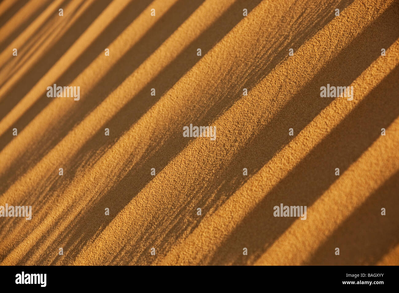 close-up of desert sand pattern Stock Photo - Alamy