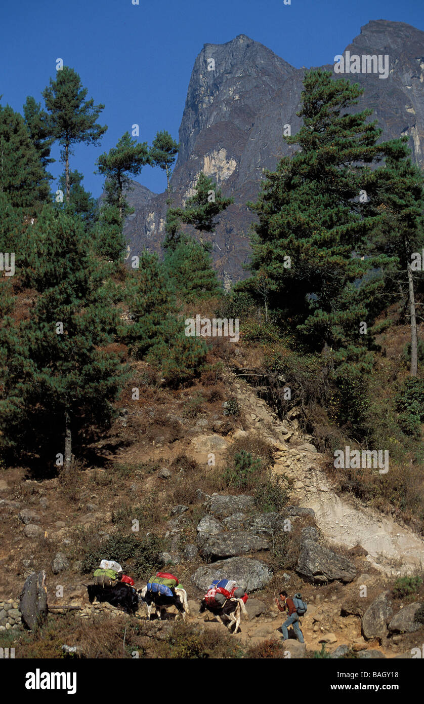 Nepal, Sagarmatha Zone, Solu Khumbu District (Solukhumbu), Khumbu ...