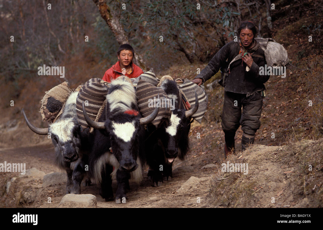 caravaneers-hi-res-stock-photography-and-images-alamy