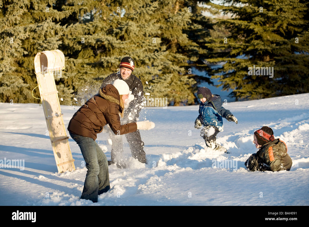 Family playing in the snow Stock Photo - Alamy