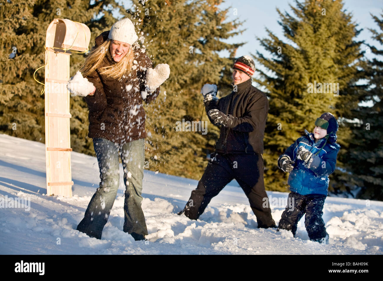 Family playing in the snow Stock Photo - Alamy