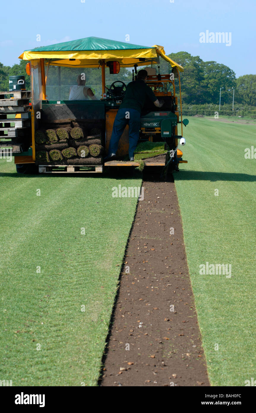 Turf growing business, UK Stock Photo - Alamy