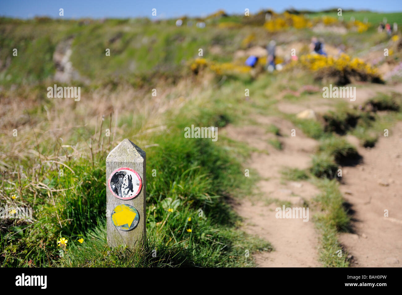 Warning of cliffs danger sign and a footpath waymark on the ...