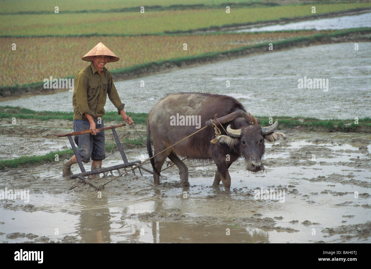 Farmer ploughing the field hi-res stock photography and images - Alamy