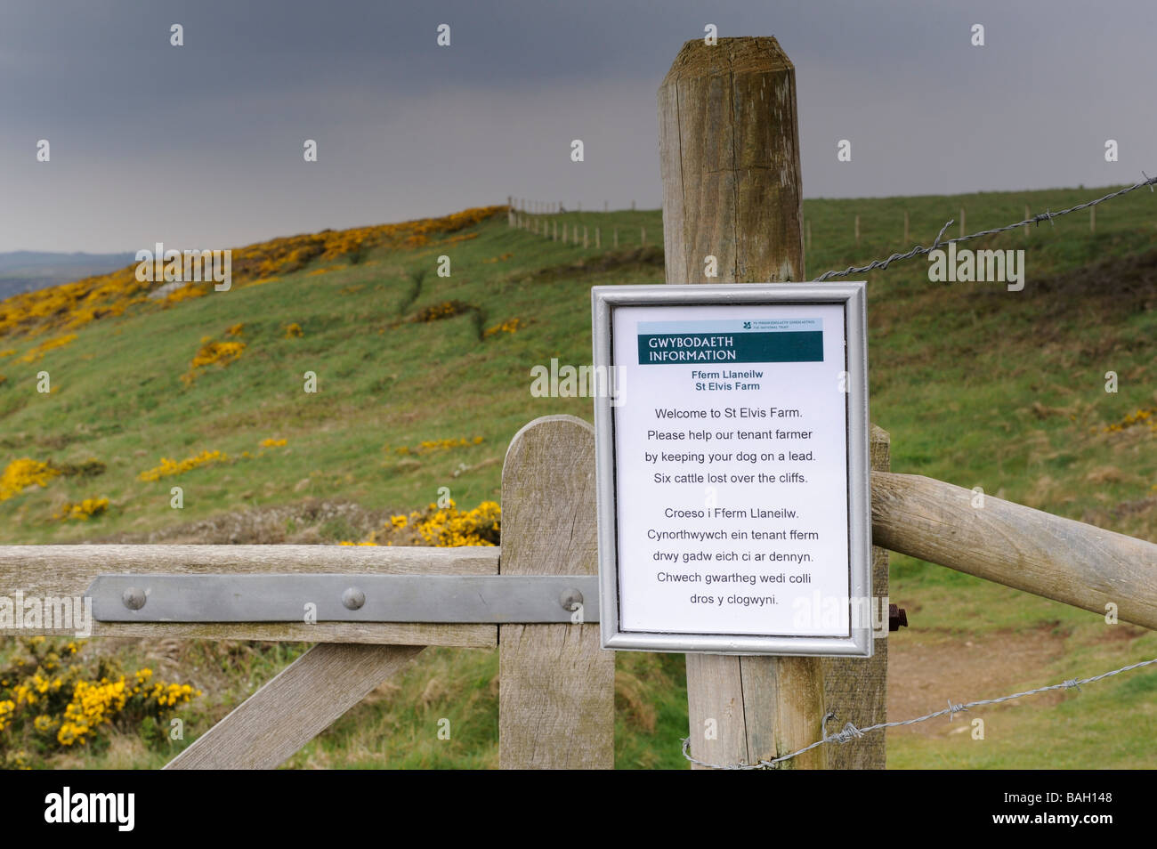 Signpost saying Welcome to St Elvis farm on the Pembrokeshire coast ...