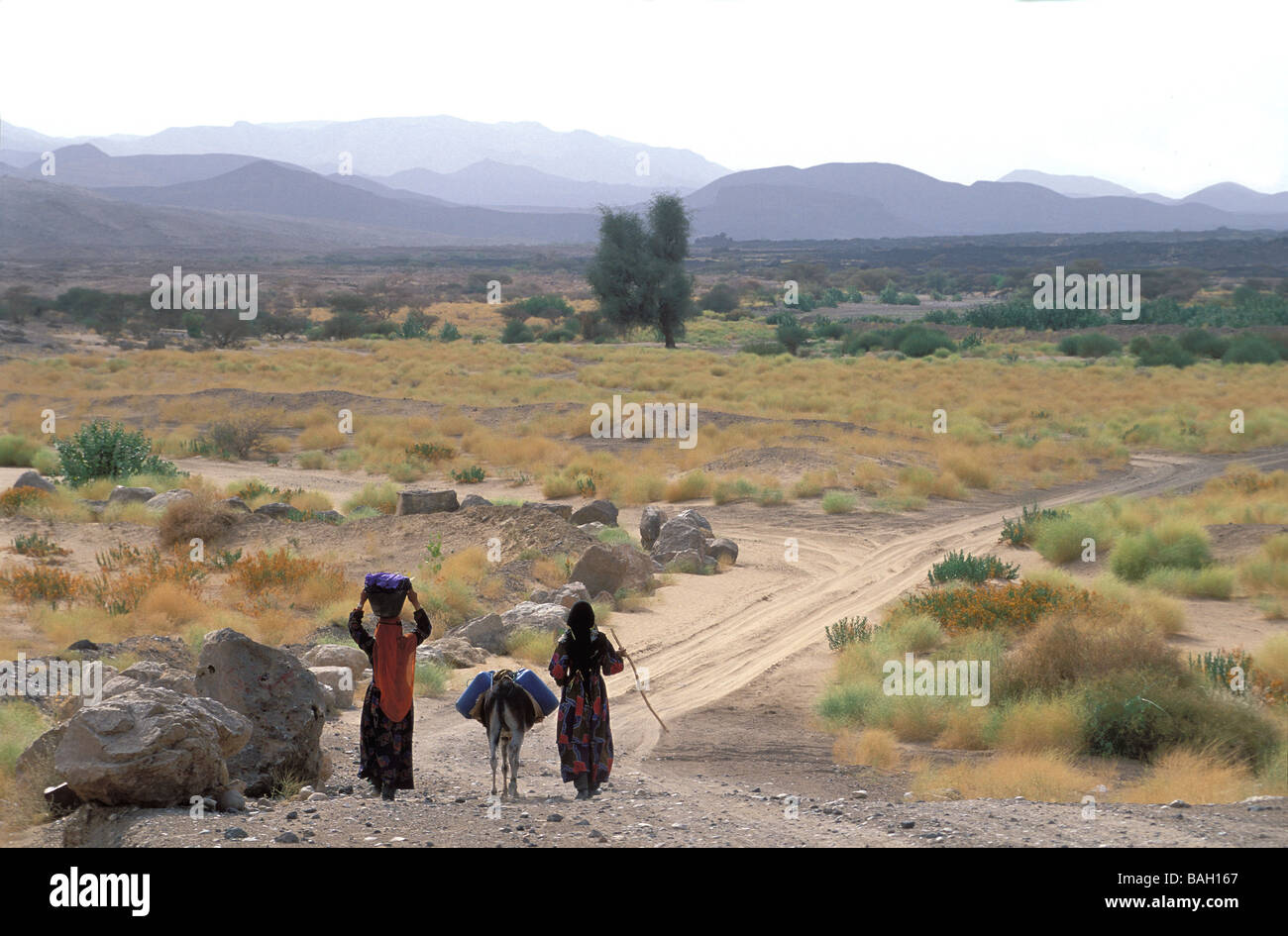 Marib governorate hi-res stock photography and images - Alamy