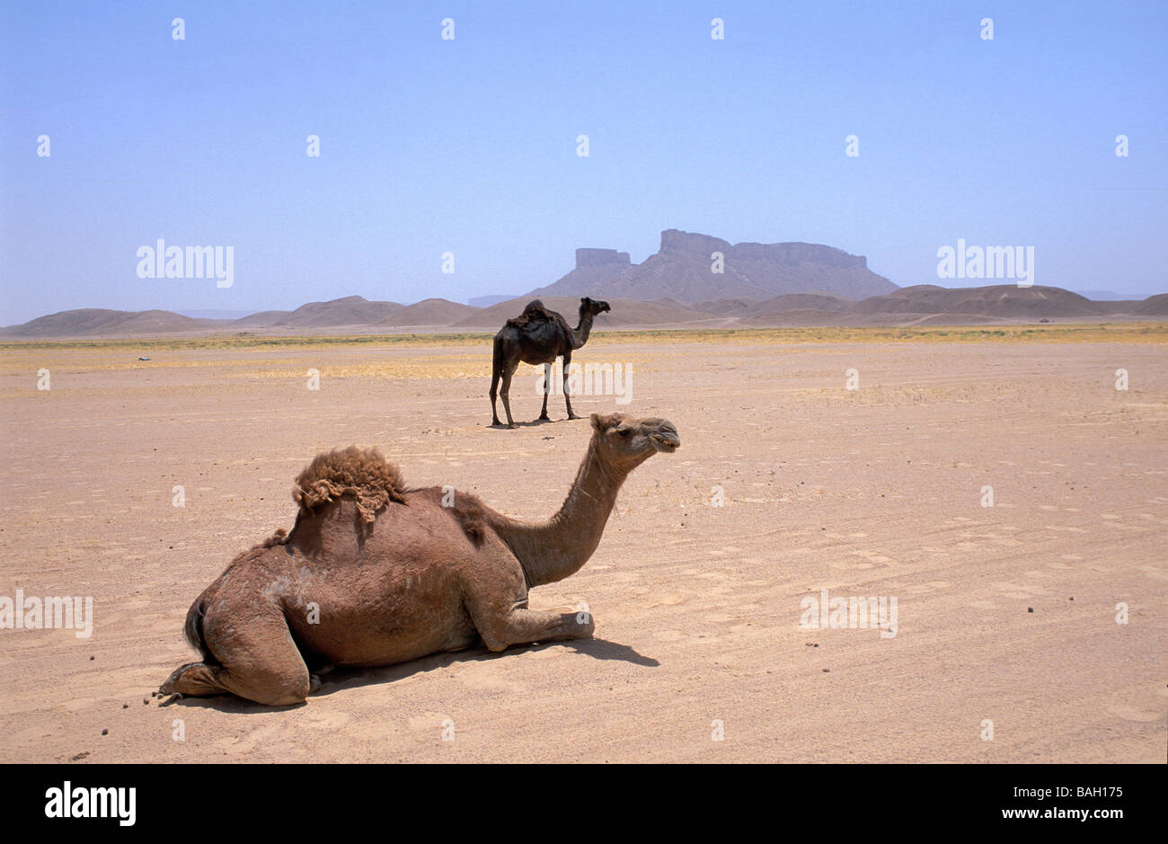 Ramlat as sabatayn desert hi-res stock photography and images - Alamy