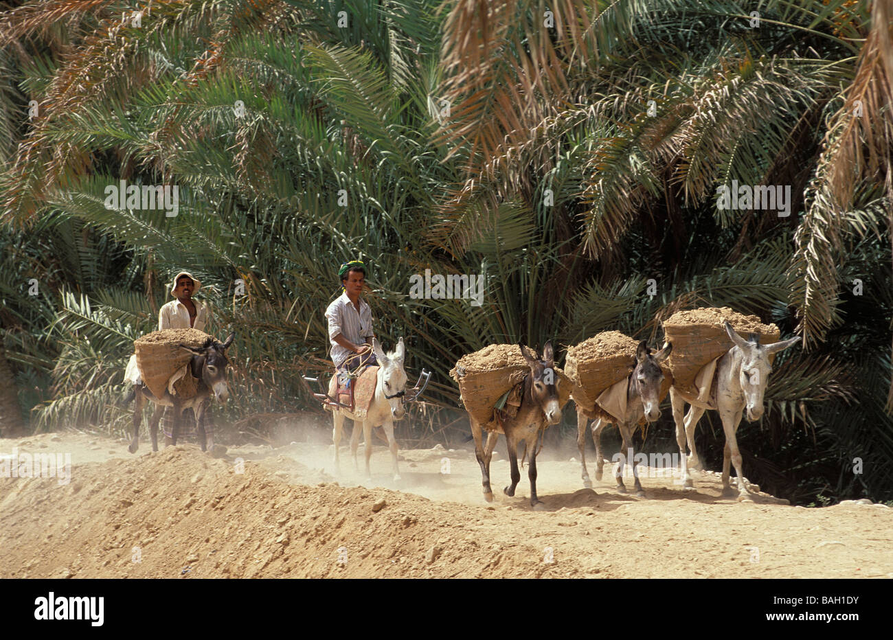 Governorate hadramawt hi-res stock photography and images - Alamy