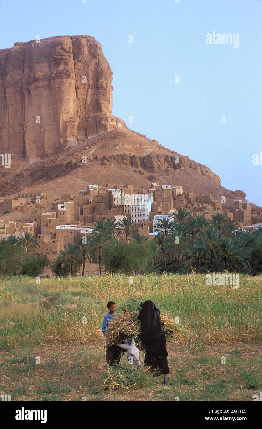 Yemen, Hadramawt Governorate, Wadi Do'an, Rihab Stock Photo - Alamy