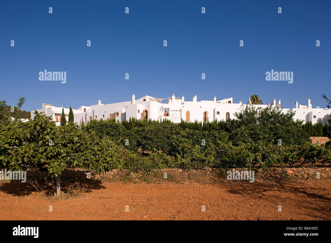 Spain, Balearic Islands, Ibiza island, Sant Carles Stock Photo - Alamy