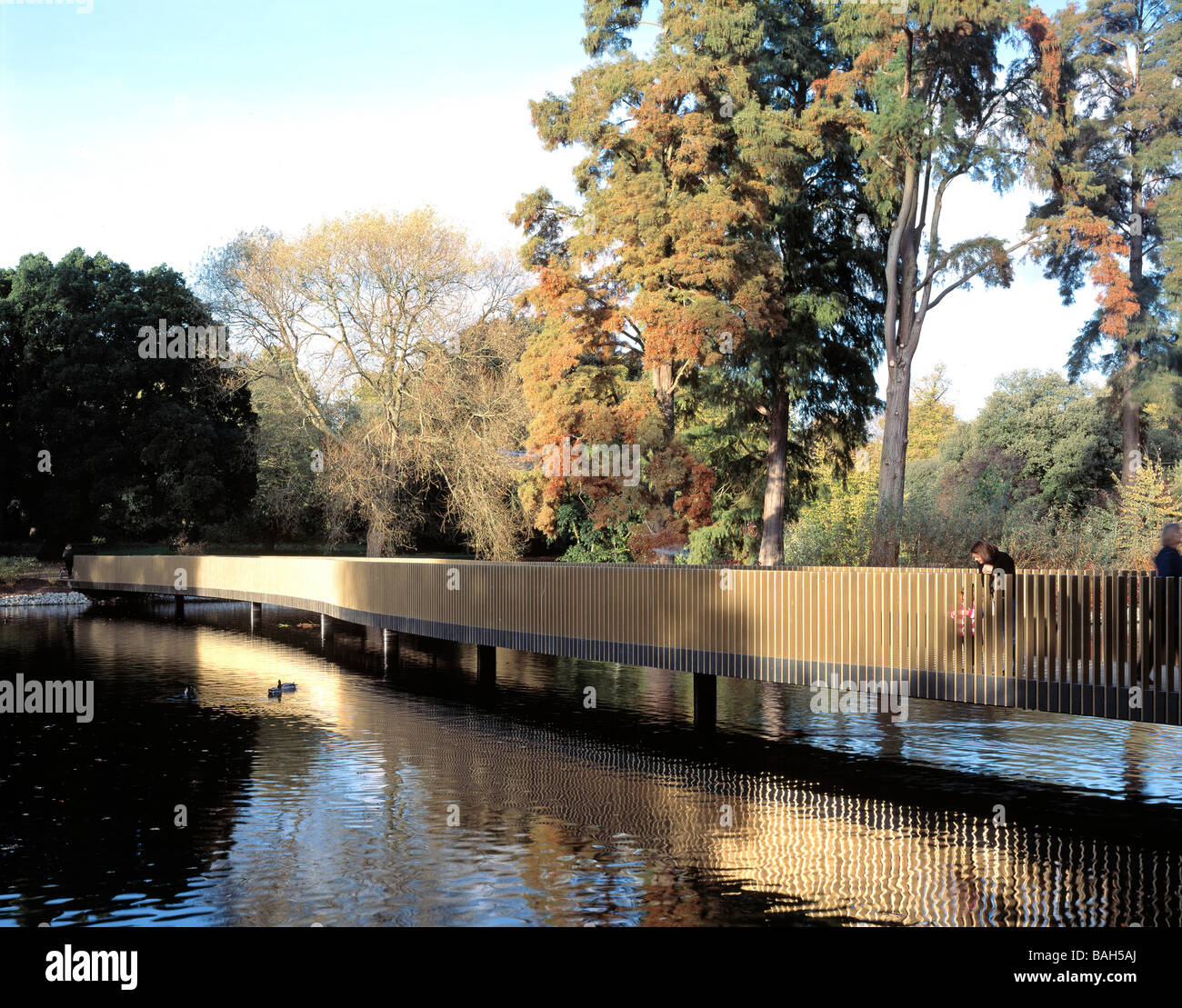 Sackler Crossing Bridge, London, United Kingdom, John Pawson, Sackler ...