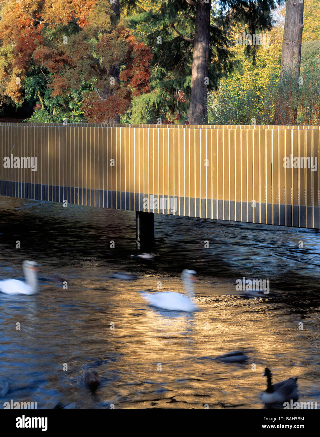 Sackler Crossing Bridge, London, United Kingdom, John Pawson, Sackler ...