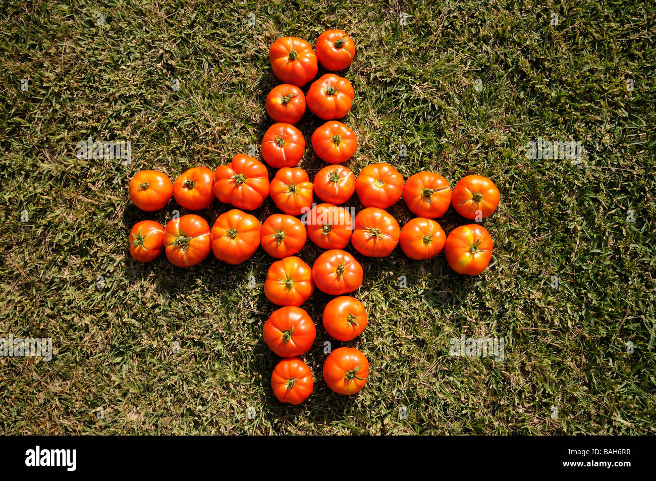 Group of tomatoes representing a cross over the grass Stock Photo - Alamy
