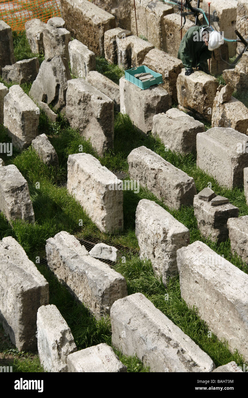 archaeologist cleaning ancient roman relics in the largo argentina ...