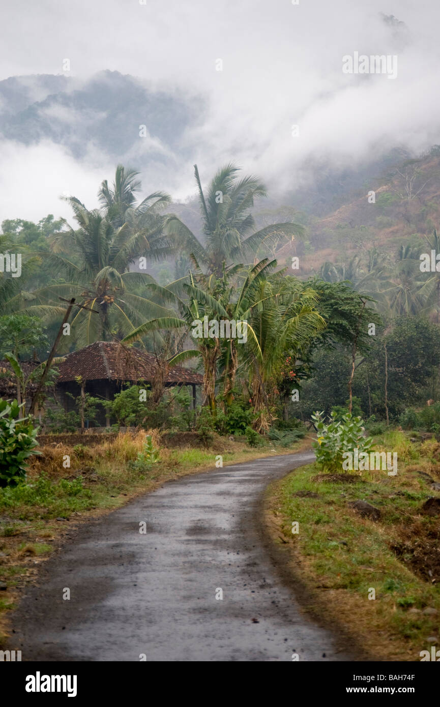 Bali, Indonesia; Rural road Stock Photo - Alamy
