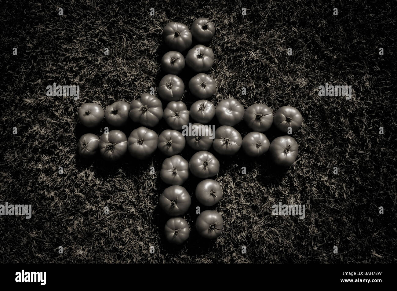 Group of tomatoes representing a cross over the grass in black and ...