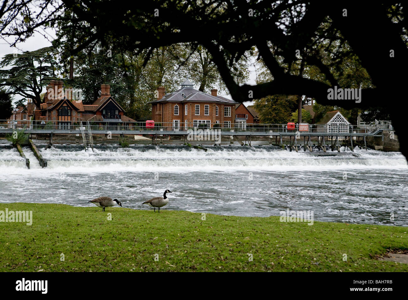 Marlow bucks by river thames hi-res stock photography and images - Alamy