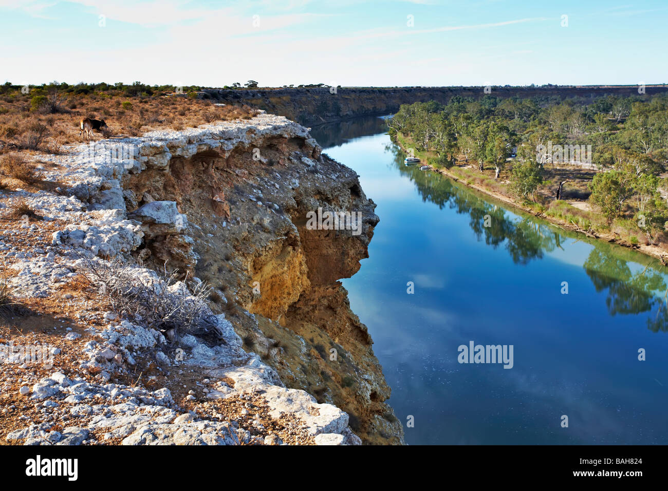 Gum flat hi-res stock photography and images - Alamy