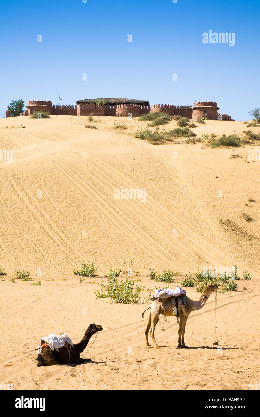 Camels in the Thar Desert, Osian Camel Camp on hilltop, Osian ...