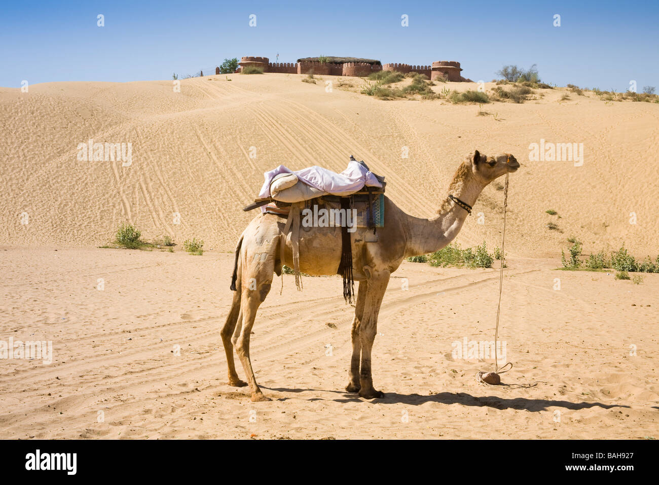 Osian Desert Stock Photos & Osian Desert Stock Images - Alamy