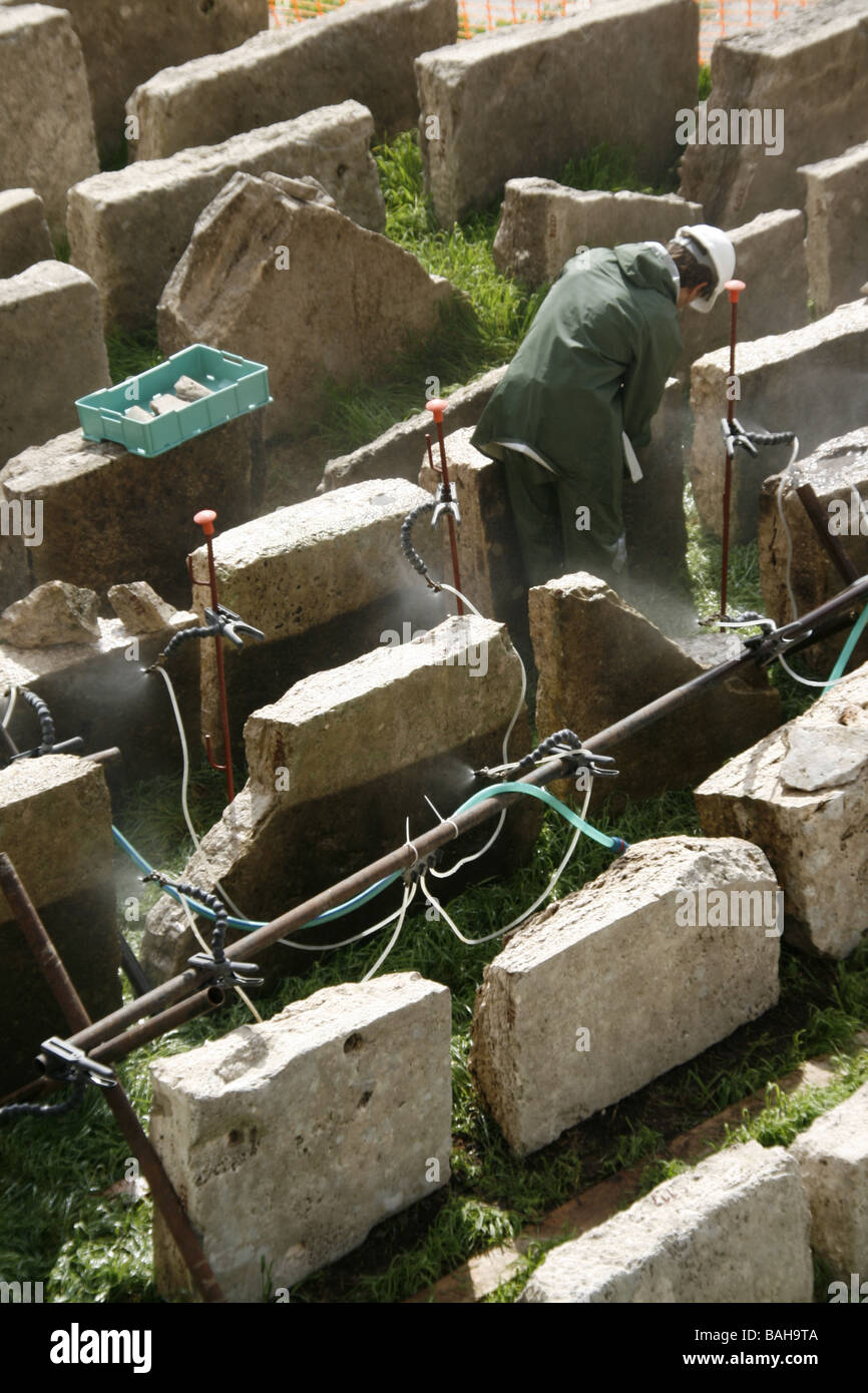 archaeologist cleaning ancient roman relics in the largo argentina ...